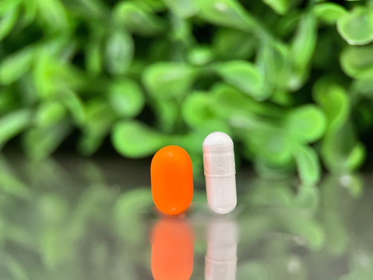 GS-441524 Capsules Compounded for Cats.